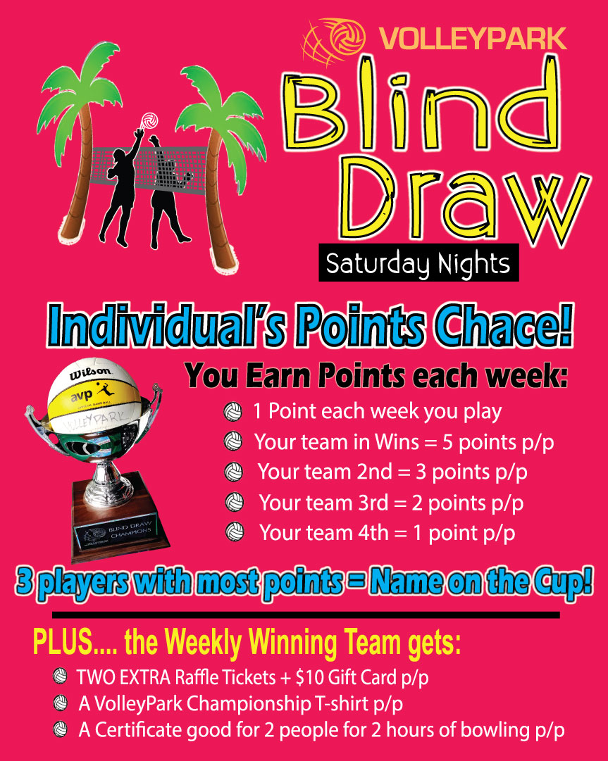 the Volley Park Blind-Draw-fence-banner-outlined - the Volley Park